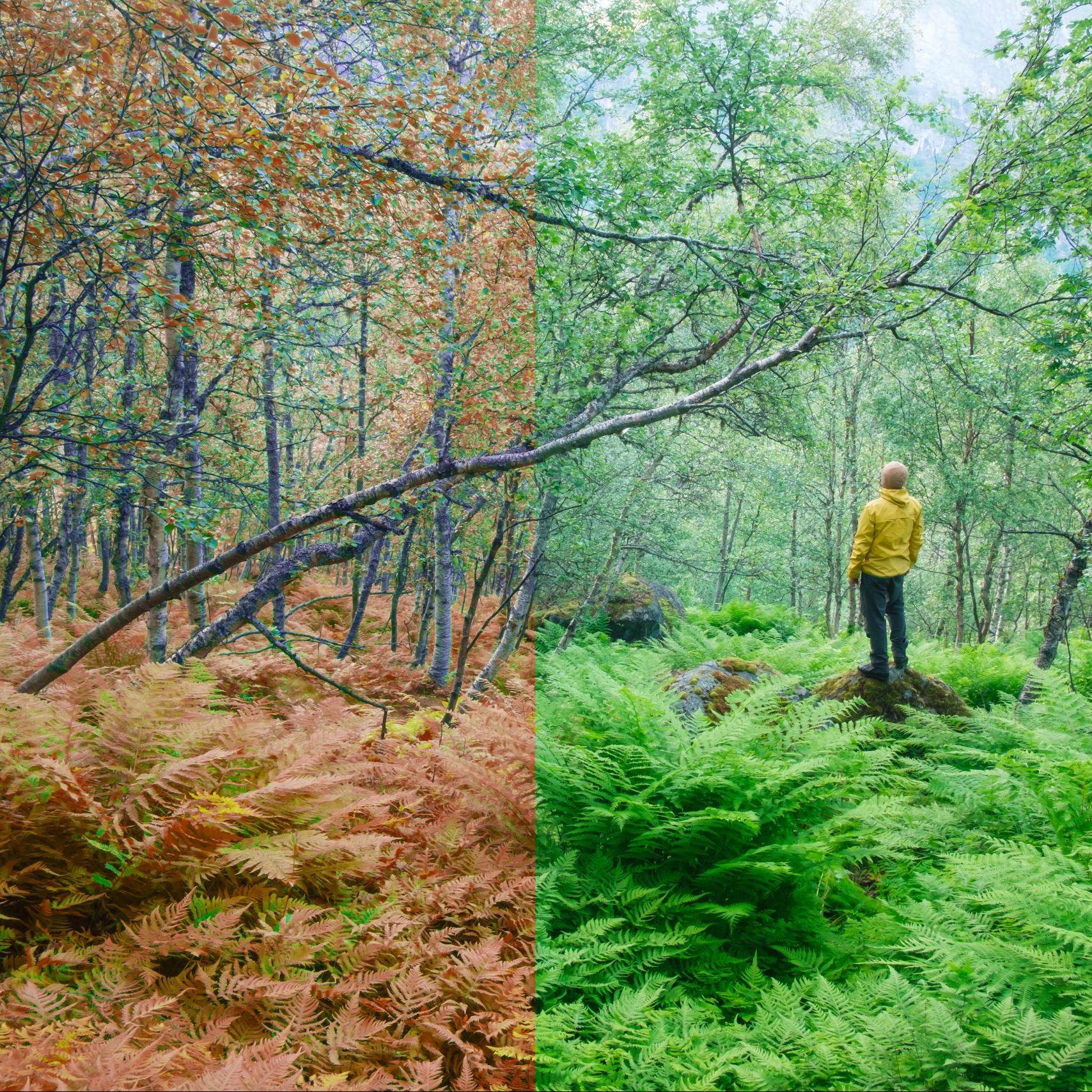 Sirio Panel – Retouch Zone